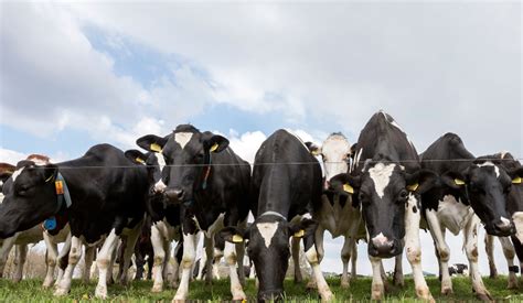 Grassland Management Archives Target Fertilisers