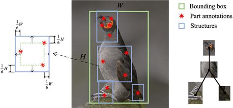 Illustration Of Generating The Key Part Annotations From The Given Download Scientific Diagram