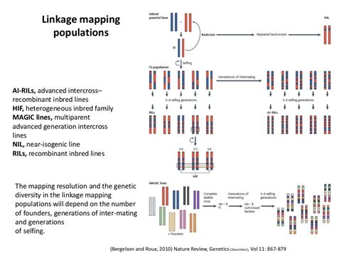 Mapping And Association Mapping