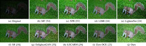Figure 1 From Retinex Based Variational Framework For Low Light Image