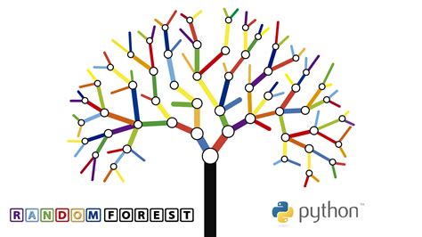 Implementación De Un Clasificador Random Forest En Python Panama Hitek