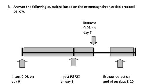 8 Answer The Following Questions Based On The