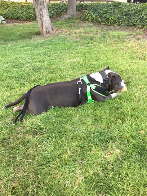 Lazy Count Countlazy Twitter