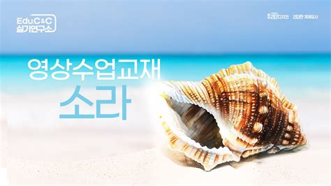 초간단디자인 영상수업교재 예쁜색감의 소라 그리기 자연물잘그리기 소라 개체묘사 기초디자인 채색 입시미술 여름안에서