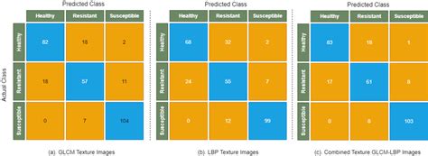 Confusion Matrix Of Decision Tree On Glcm Lbp And Combined Texture