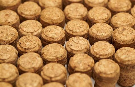 많은 다른 샴페인 코르크의 근접 촬영 패턴 배경 샴페인 코르크 배경 다른 샴페인 코르크 질감 갈색에 대한 스톡 사진 및 기타 이미지 Istock