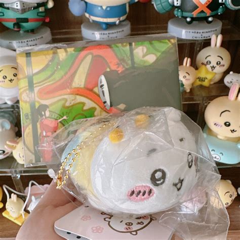 이벤트 당첨🥳🎉🎉 콜리 Colley