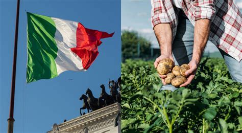 საქართველოს მოქალაქეებს შესაძლებლობა მიეცემათ იტალიაში სეზონურ და არასეზონურ სამუშაობზე