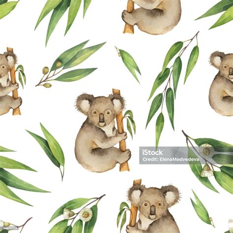 유칼립투스 나뭇잎과 흰색 배경에 고립 된 코알라와 수채화 벡터 완벽 한 패턴입니다 호주에 대한 스톡 벡터 아트 및 기타 이미지