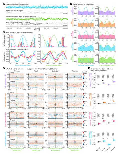 Coordinating Brain Distributed Network Activities In Memory Resistant To Extinction Pmc