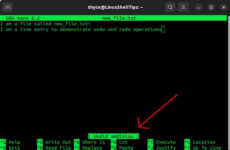 How To Undo And Redo In Nano Editor In Linux