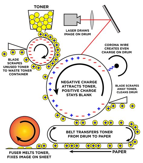 Digital Vs Offset Seattle Printworks