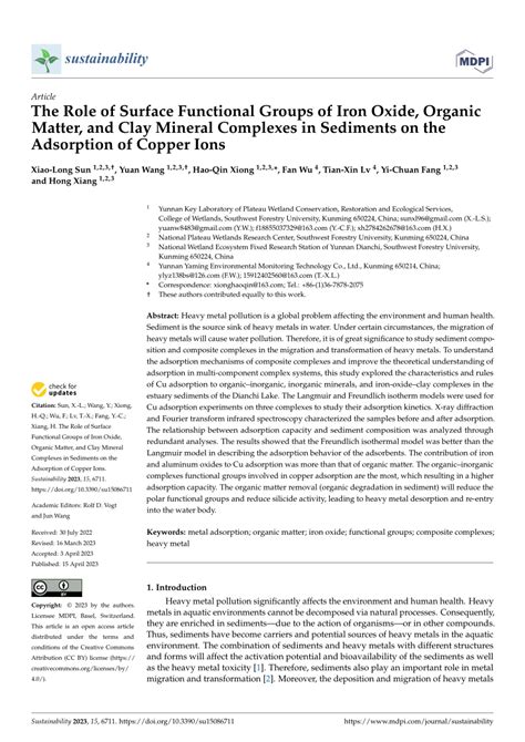 Pdf The Role Of Surface Functional Groups Of Iron Oxide Organic