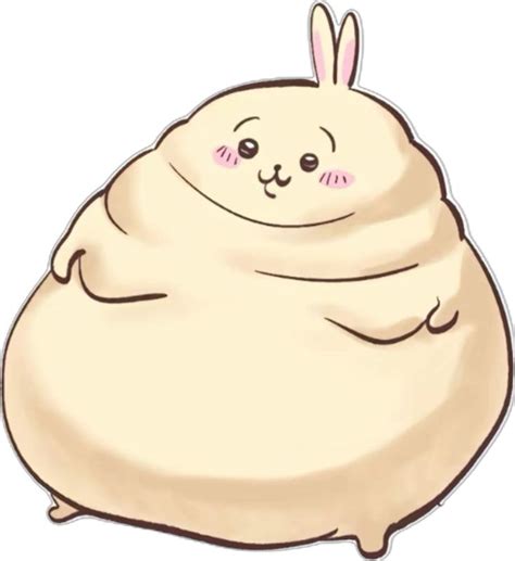 Fat Usagi Fat Character Goofy Drawing Silly Cats Pictures