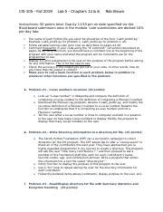 CIS 105 Lab5 Sp 2020 Docx CIS 105 Fall 2019 Lab 5 Chapters 12 6 Rob Brown Instructions