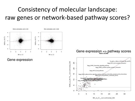 Ppt Gene Interaction Networks For Functional Analysis And