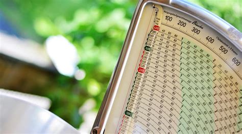 Verification Of Scales Non Automatic Weighing Instruments