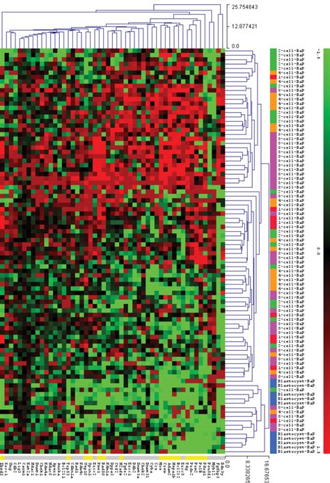 Unsupervised Hierarchical Clustering Analysis Of The Relative