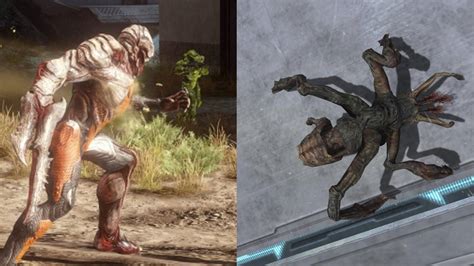 Halo Every Form Of Flood Ranked From Weakest To Strongest