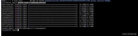 09linux Arm架构 离线部署 Docker Rabbitmq 银河麒麟v10操作系统麒麟 V10离线安装rabbitmq Csdn博客