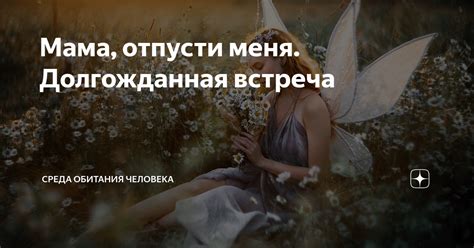 Мама отпусти меня Долгожданная встреча СРЕДА ОБИТАНИЯ ЧЕЛОВЕКА Дзен