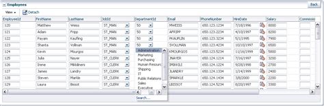 Andrej Baranovskij Blog ADF G Performance Tuning Select One Choice And Combo Box With List