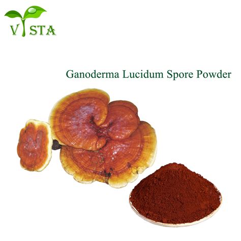 Natural Mushroom Extract Polysaccharides Reishi Mushroom Dry Powder Shell Broken Ganoderma