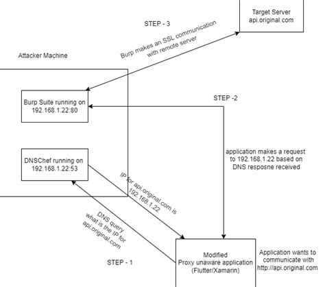 how to intercept traffic from proxy unaware application using dnschef