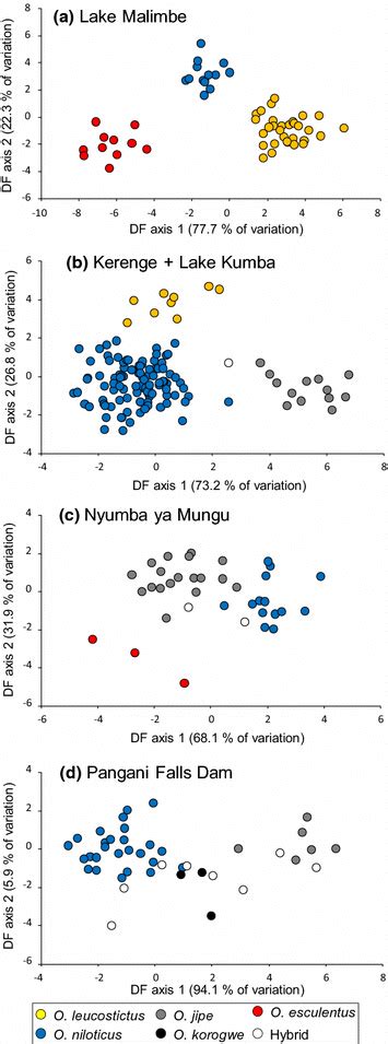 Discriminant Function Analysis Of Geometric Morphometric Shape