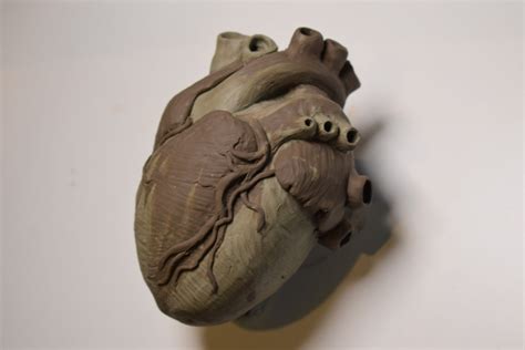Silicone Skin 3d Printed Realistic Animatronic Heart 5 Steps With
