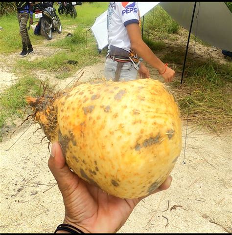 ចិត្តជាកូនប្រុស សងសឹកមិនបានសម្រេច ទោះដេកលក់ក៏មិនបិទភ្នែក ចិត្តជាកូនប្រុស សងសឹកមិនបានសម្រេច