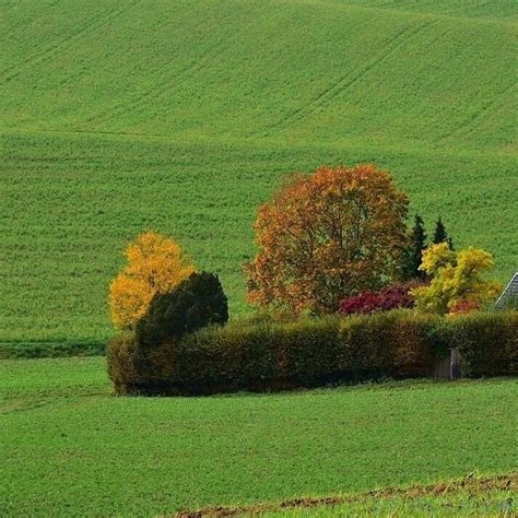 【已复现】docker Desktop 未授权访问漏洞 Cve 2025 9074 安全风险通告 Cn Sec 中文网