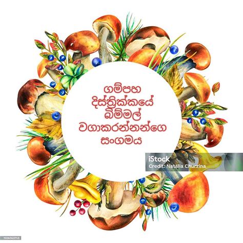 ගම්පහ දිස්ත්‍රික්කයේ බිම්මල් වගා කරන්නන්ගේ සංගමය Facebook