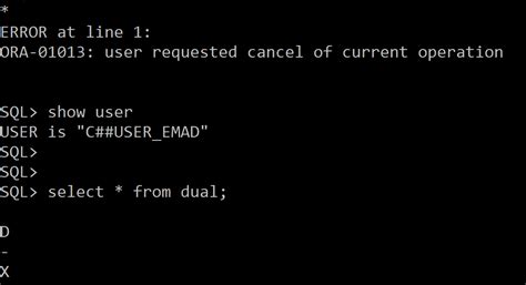 Oracle C New Feature ALTER SYSTEM CANCEL SQL Geodata Master