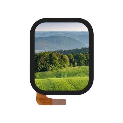 Inch AMOLED Display Module With Oncell Touch Cd M Resolution Pin QSP