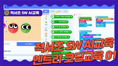 파주 적서초 Sw Ai교육 01 엔트리 회원가입 Youtube