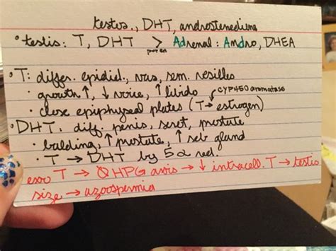 Reproductive Flashcards Quizlet Reproductive Flashcards Quizlet