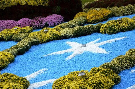 Фестиваль хризантем «Квіткове сузіря який зараз проходить на столичному Співочому полі