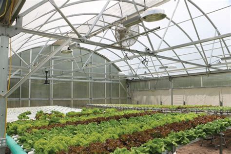 Learn More About Hydroponic Systems From Growspan Blog Growspan