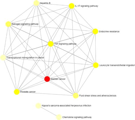 Visualization Of Network Based Pathway Enrichment Analysis The Nodes