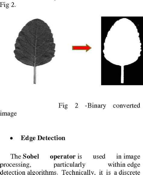 “digital image processing approach for fruit and flower leaf