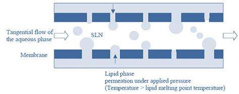 Shows A Schematic Diagram Of Membrane Contractor For Preparation Of Download Scientific Diagram