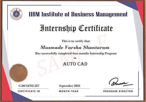 Internship Program In Autocad Iibm India