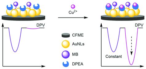 Schematic Representation Of A Carbon Fibre Microelectrode For In Vivo