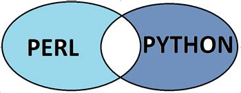 Perl Vs Python What Are The Key Differences