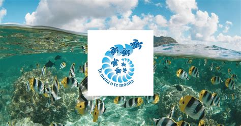 Te Mana O Te Moana Protéger Lenvironnement Marin Polynésien