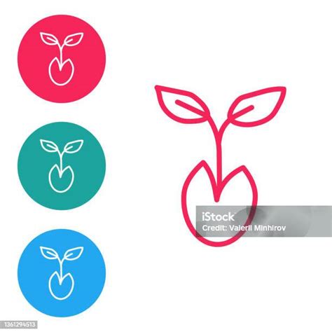 흰색 배경에 격리 된 빨간색 줄 새싹 아이콘 종묘와 묘목 나뭇잎 기호 잎 자연 원 버튼에 아이콘을 설정합니다 벡터 0명에 대한