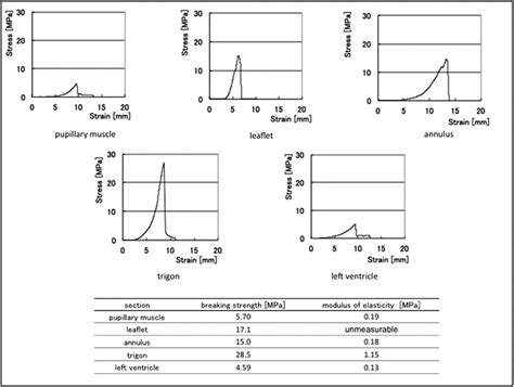 This Graph Shows Characteristic Data Of Elastic Modulus And Breaking Download Scientific