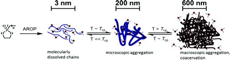 Temperature Responsive Poly Phosphonate Copolymers From Single Chains To Macroscopic