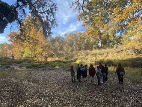 Vineyard Elementary School Learning Among The Oaks